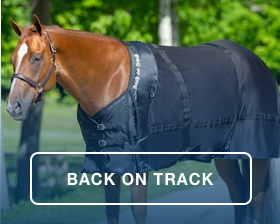 SmartPak Equine: Horse Supplements, Tack and Supplies