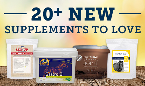 SmartPak Equine: Horse Supplements, Tack and Supplies