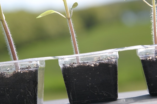 SmartPaks: Now with Less Plastic! | SmartPak Blog