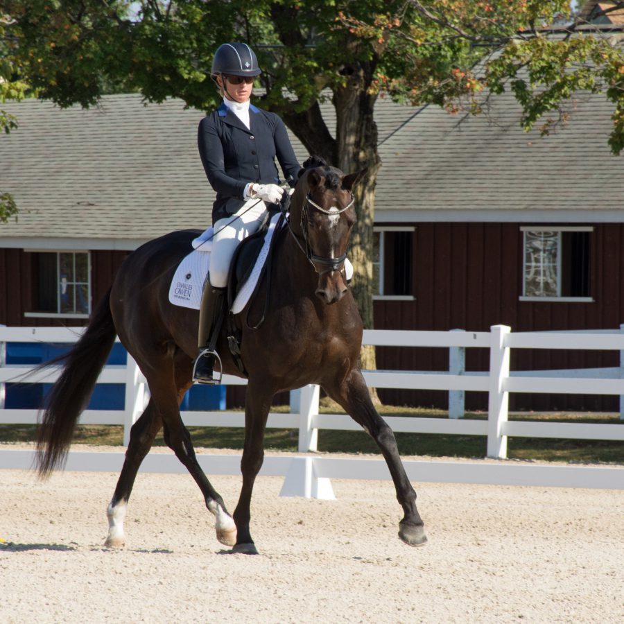Q&A with Team SmartPak Rider Silva Martin: Preparing for Dressage at ...