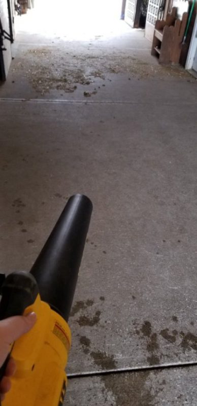 5 Back Saving Tips for Barn Chores | SmartPak Blog