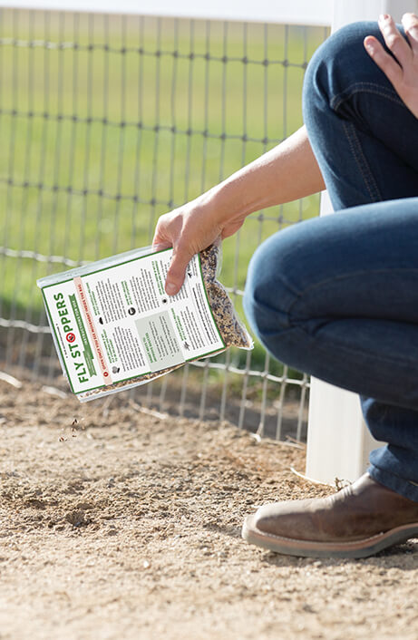 Smart Tips for Success with Fly Stoppers | SmartPak Blog