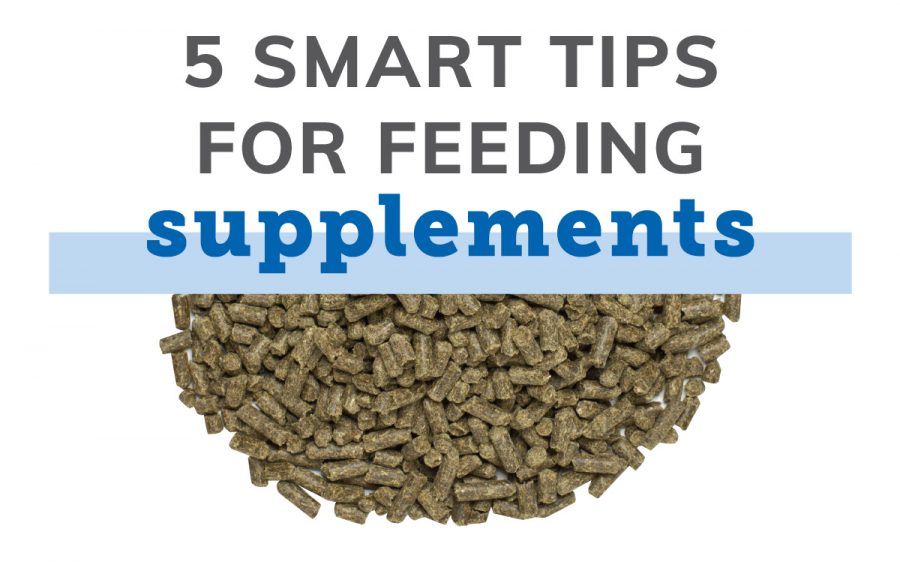5 Smart Tips for Feeding Supplements | SmartPak Blog