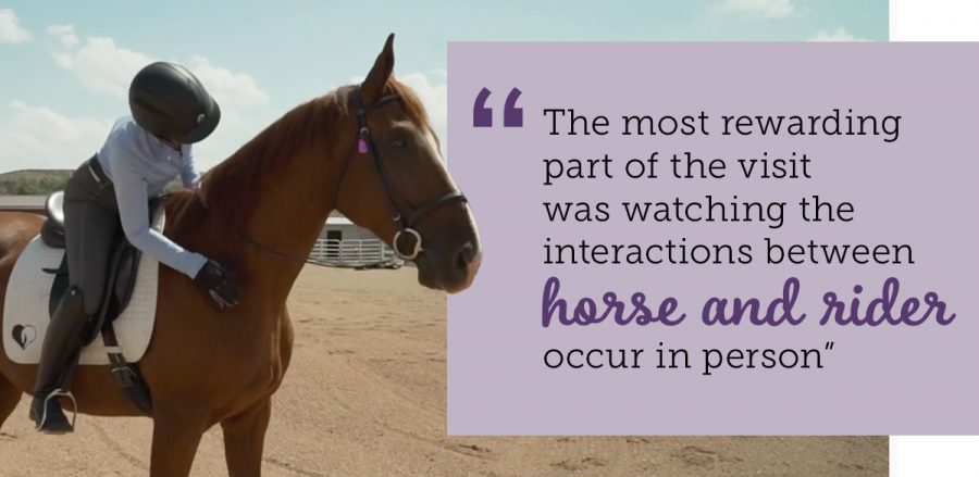 Horses as Healers | SmartPak Blog