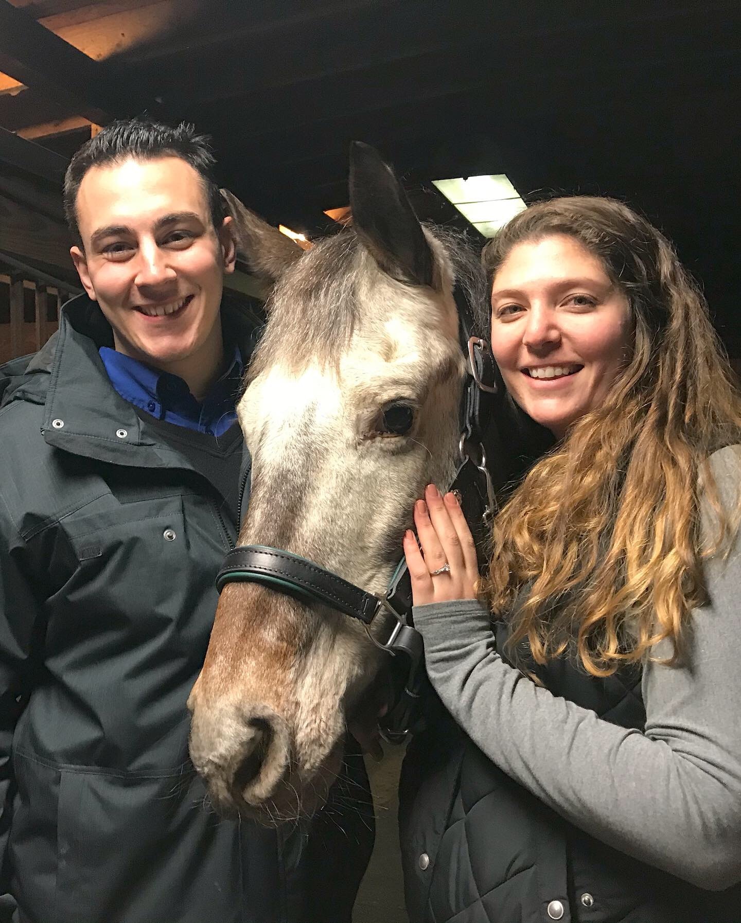 My Perfect Pony Proposal | SmartPak Blog