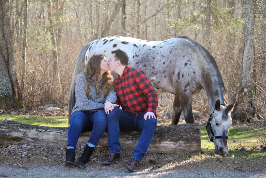 My Perfect Pony Proposal | SmartPak Blog