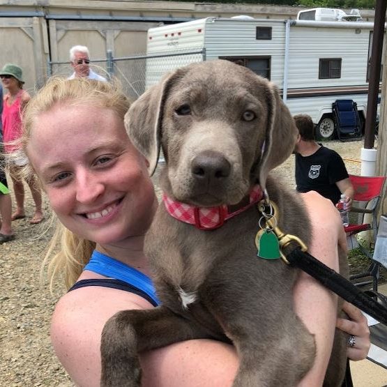 SmartPak Dog Blog: A Deep Dive into Canine Supplements | SmartPak Blog