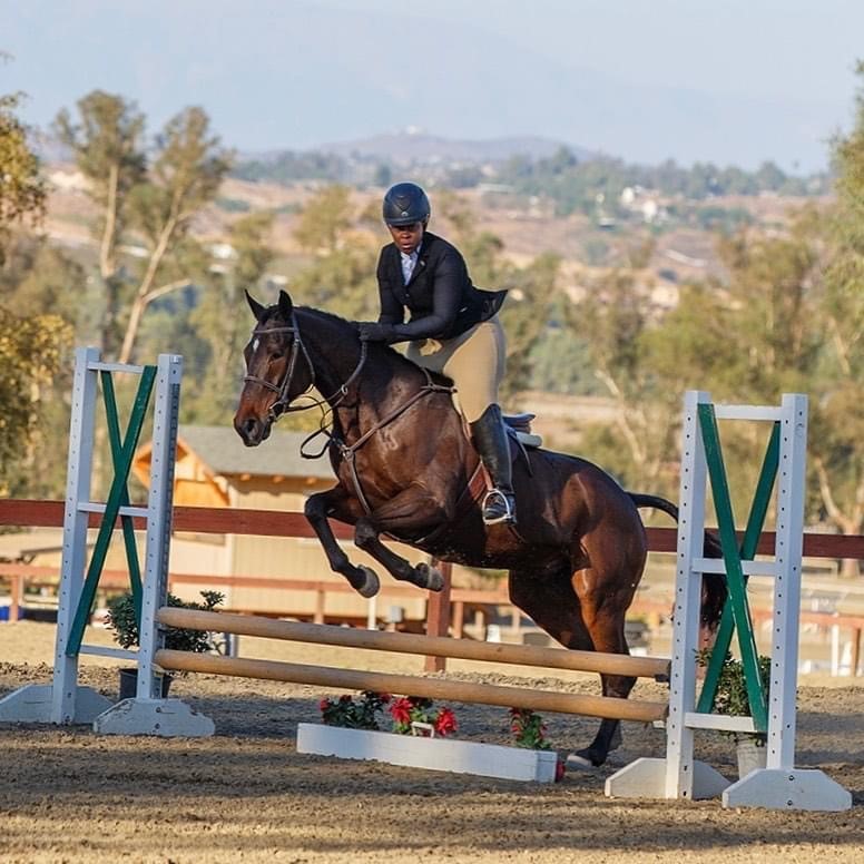 Living with Passion: Chanel Rhodes | SmartPak Blog