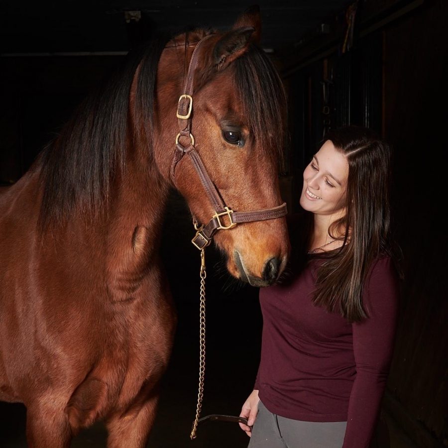 Training the Untrainable: Isadore’s Journey | SmartPak Blog