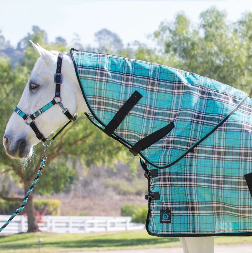 SmartPak & Kensington Give Back | SmartPak Blog