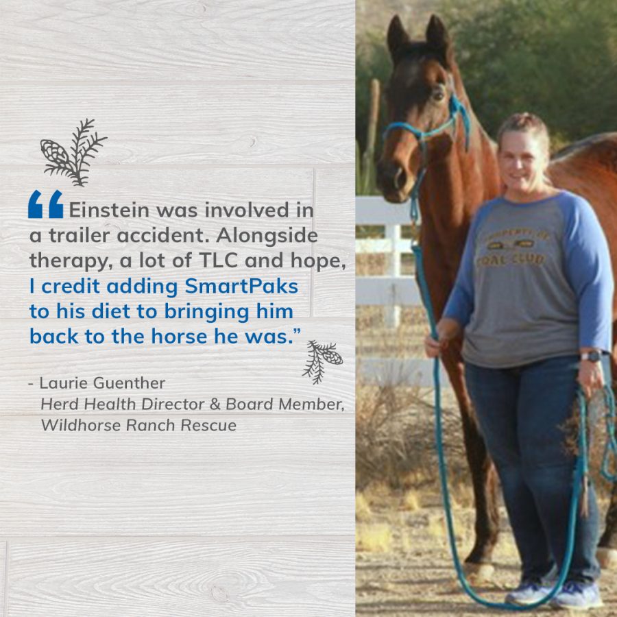 Wildhorse Ranch Rescue & SmartPaks | SmartPak Blog