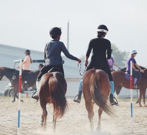 Saving Jaise | SmartPak Blog