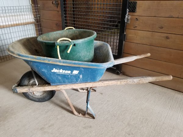 Winter Poop Patrol | SmartPak Blog