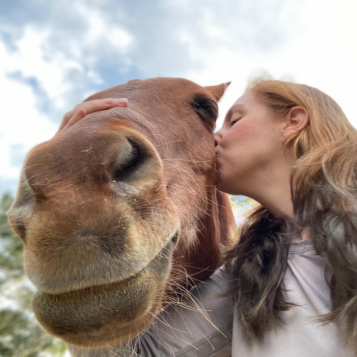 SmartPak Equine Valentines | SmartPak Blog