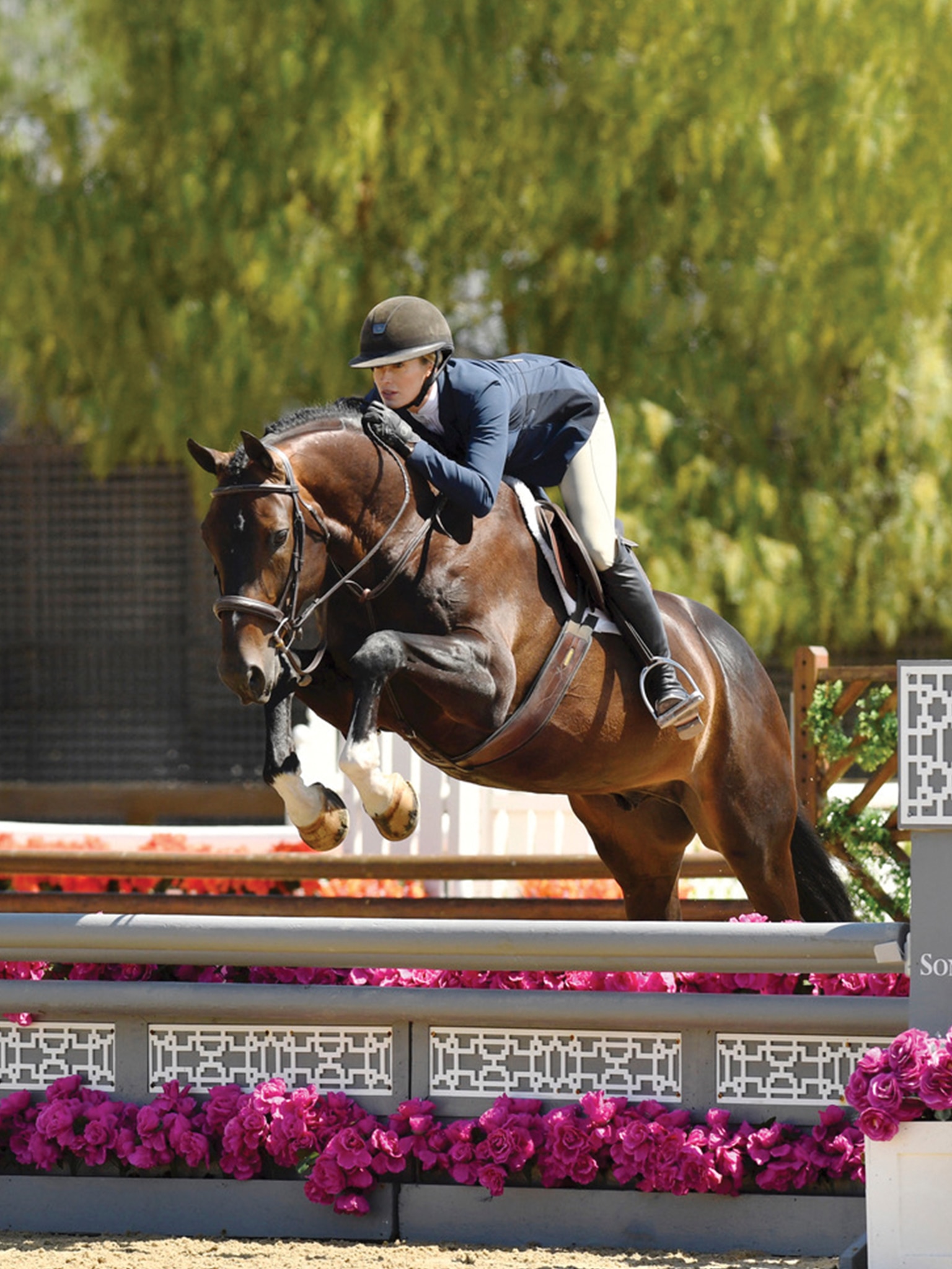 SmartPak Celebrates Women’s History Month | SmartPak Blog