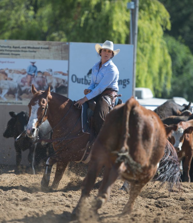 Why I Ride: Cutting Horses | SmartPak Blog