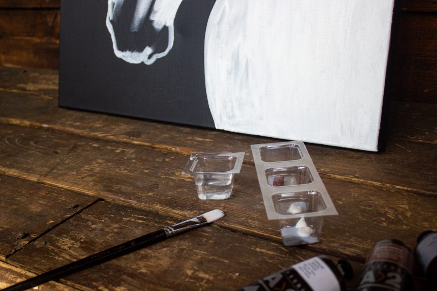 Green ways to Reuse Your SmartPaks | SmartPak Blog