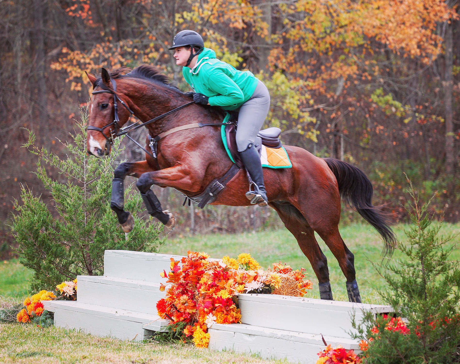 Handling Pre-Hunter Pace Jitters | SmartPak Blog