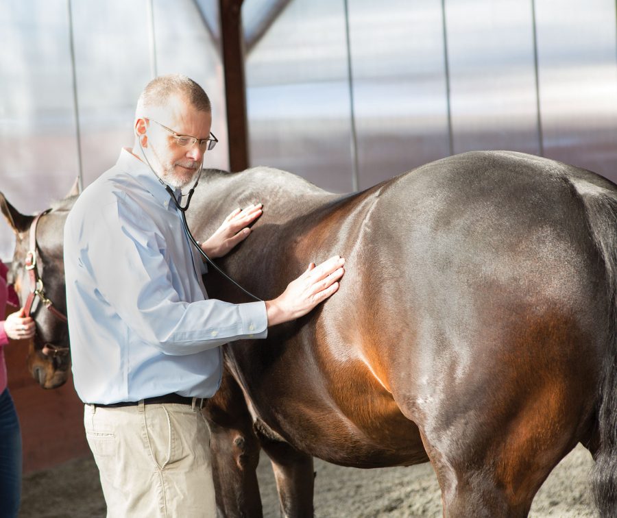 Deworming FAQs & ColiCare | SmartPak Blog