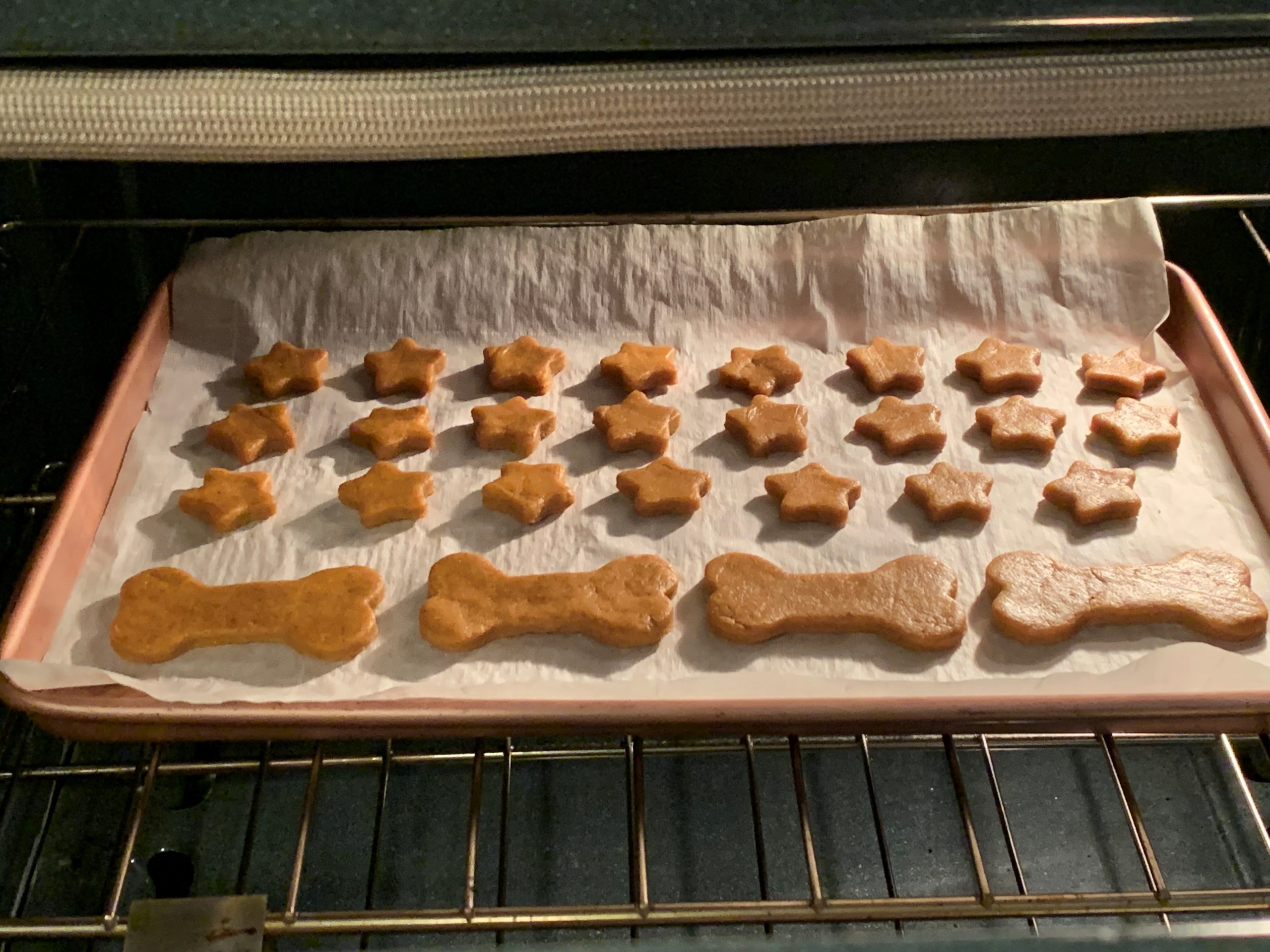 SmartPaker Erika’s Peanut Butter Pumpkin Spice Dog Treats | SmartPak Blog