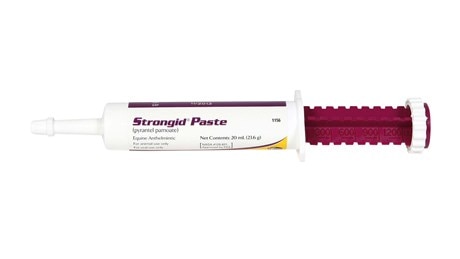 Strongid Paste