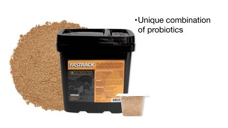 Fastrack Probiotic Pack