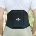 Professional Choice Comfort Fit Back Support