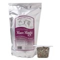 Mare Magic
