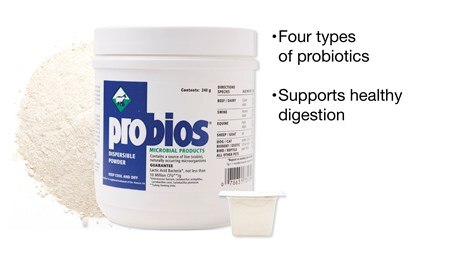 Probios Powder