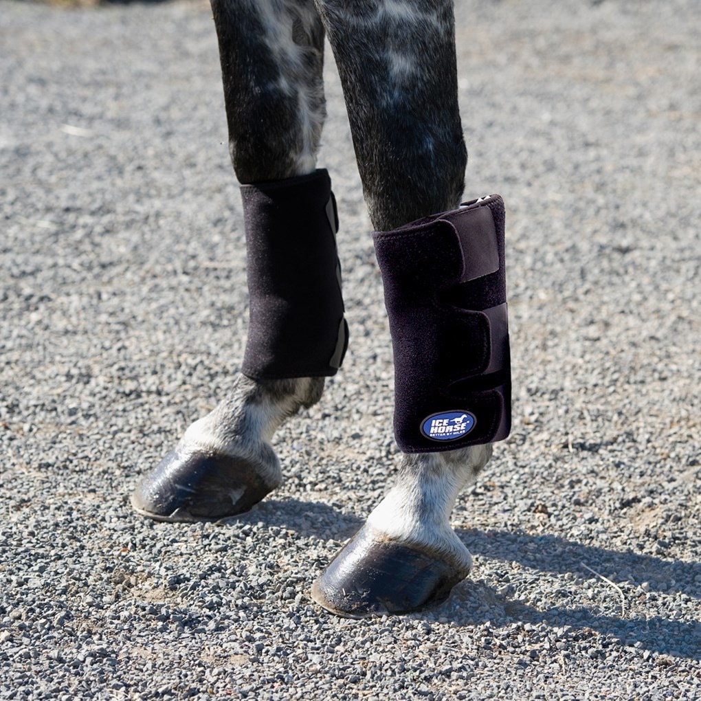 Ice Horse Tendon Wraps