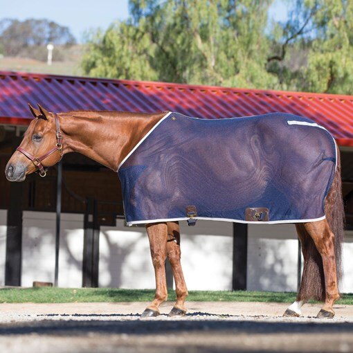 Big D Nylon Mesh Fly Sheet