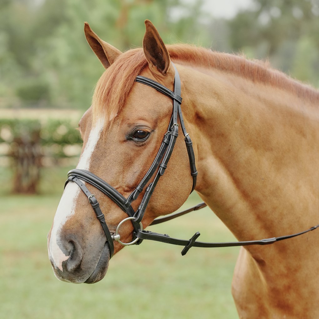 Plymouth® Dressage Bridle by SmartPak