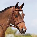 Wellfleet® Square Raised Fancy Stitch Bridle by SmartPak