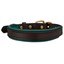 SmartPak Soft Padded Leather Dog Collar