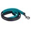 SmartPak Soft Padded Leather Dog Leash