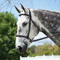Wellfleet® Monocrown Hunter Bridle