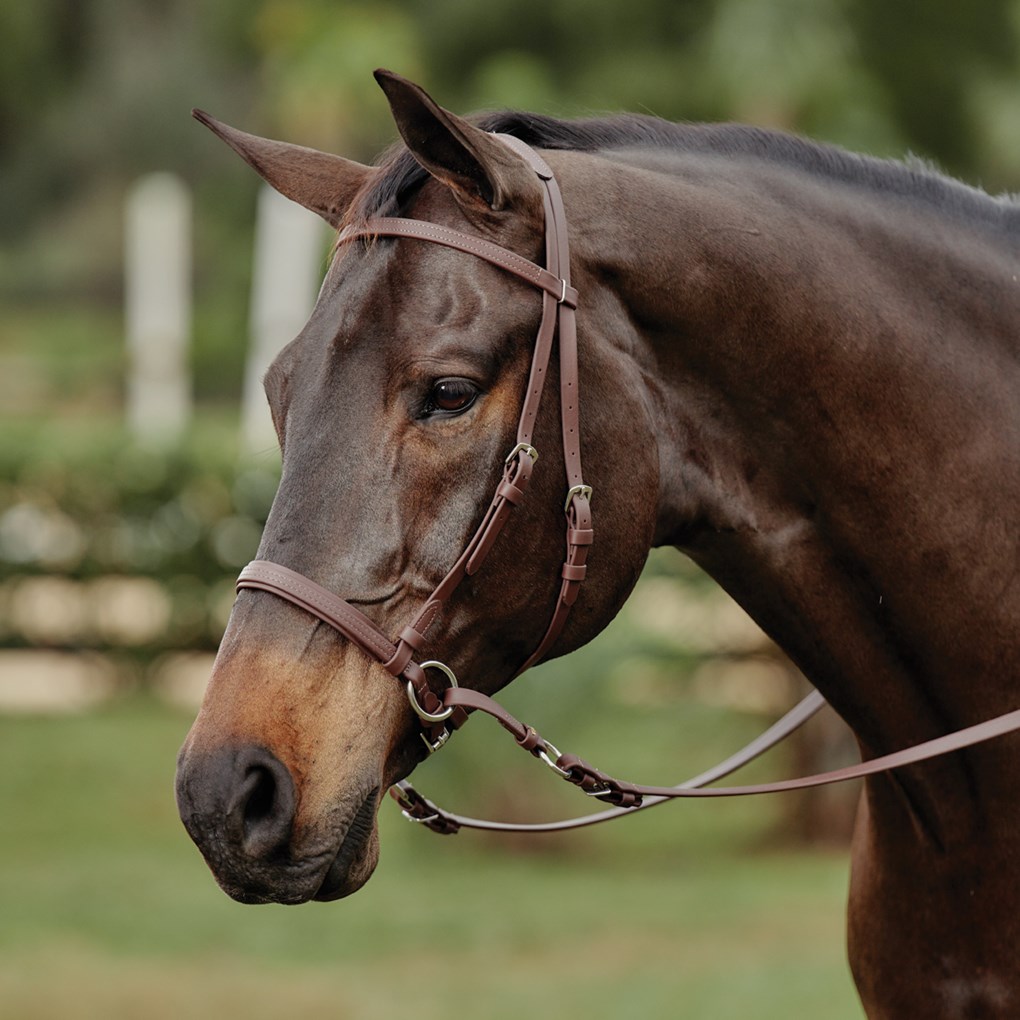 Dr. Cook® Beta Bitless Bridle
