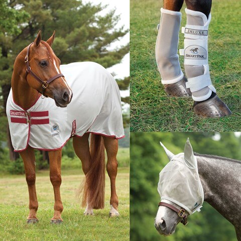 Shires Sweet Itch Combo Fly Sheet - SmartPak Equine