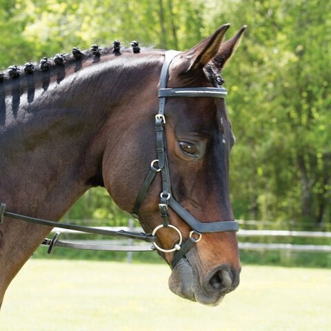 Hunter/Jumper Bridles - Horse Tack, Supplies and Equipment from ...