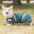 SmartPak Dog Blanket