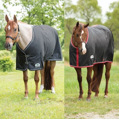 Shires Sweet Itch Combo Fly Sheet - SmartPak Equine