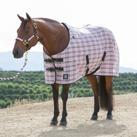 Weatherbeeta ComFiTec Airflow Detach-A-Neck Fly Sheet - SmartPak Equine