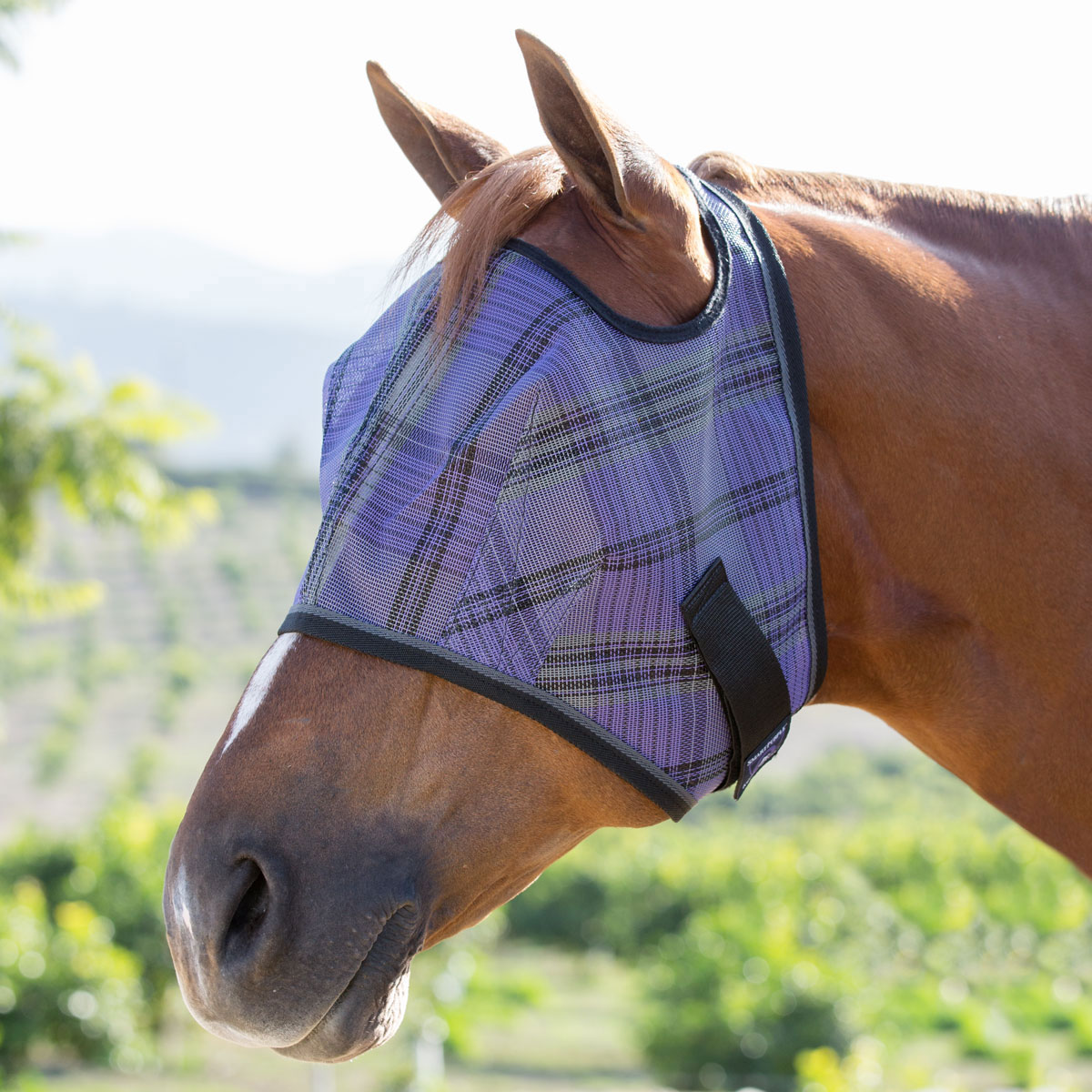 UV Protection Fly Mask - SmartPak