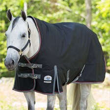 Horse Turnout Sheets - SmartPak Equine