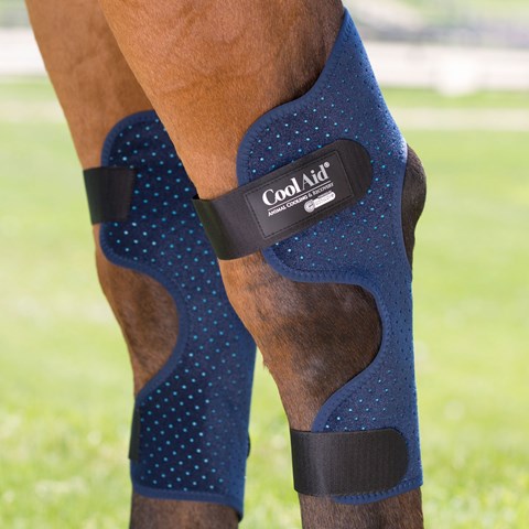 Ice Horse Tendon Wraps - SmartPak Equine