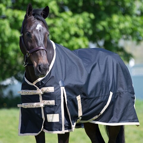 Shires Sweet Itch Combo Fly Sheet - SmartPak Equine