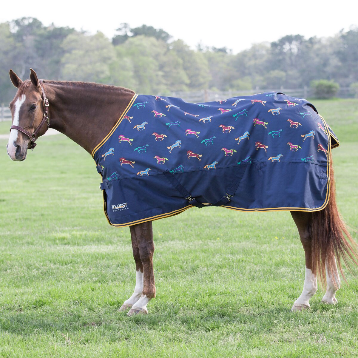 Shires Tempest Original 600D Turnout Blanket - Pony