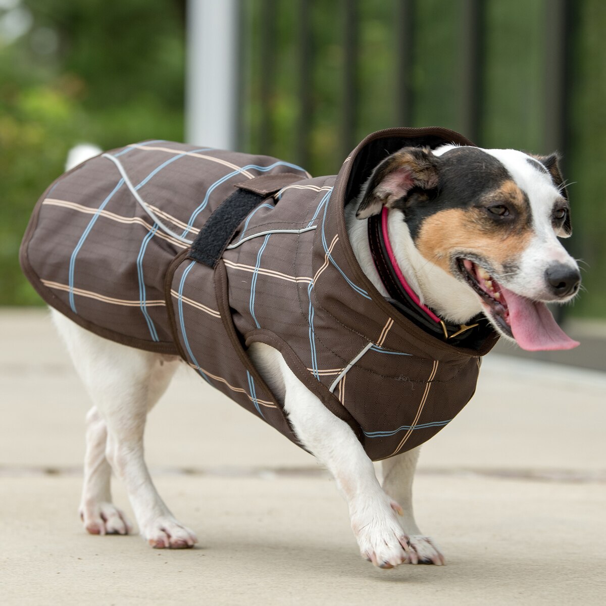 FITS All Weather Dog Coat