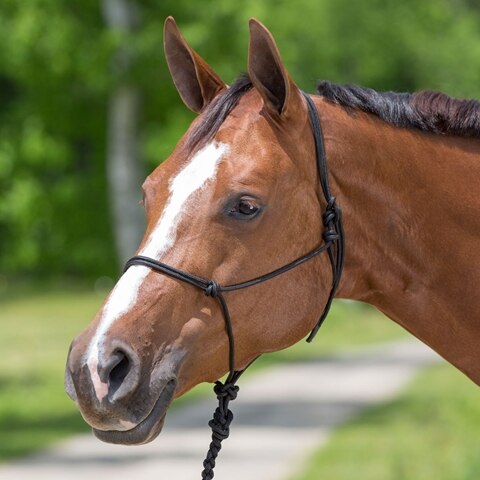 Horse Tack & Supplies - SmartPak Equine