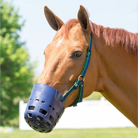 Tough 1 Easy Breathe Grazing Muzzle Attachment